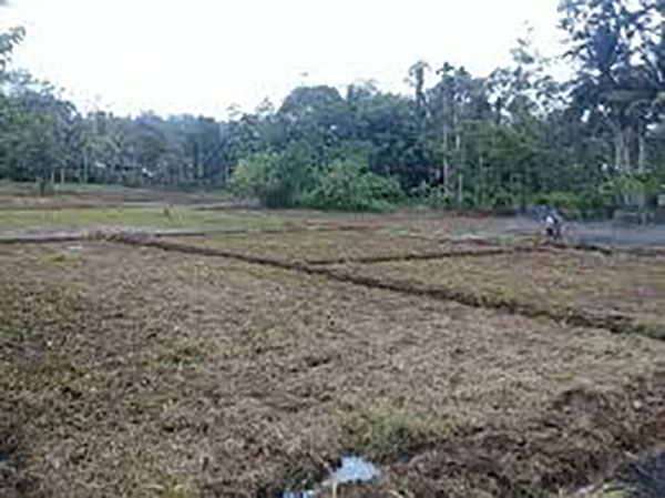 September 14, 2020 |පුත්තලම, නාගවිලට නාගලෝකෙන් වතුර