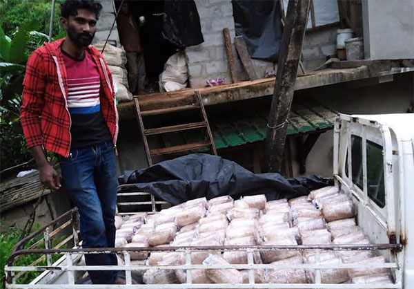 බිම්මල් වගාව ජය ගත් දිරිය කත